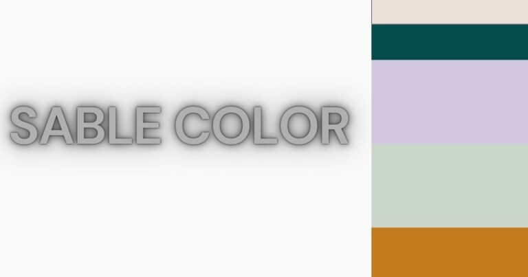 Sable Color Meaning, Uses, Symbolism and Stylish Appeal - Hackerella