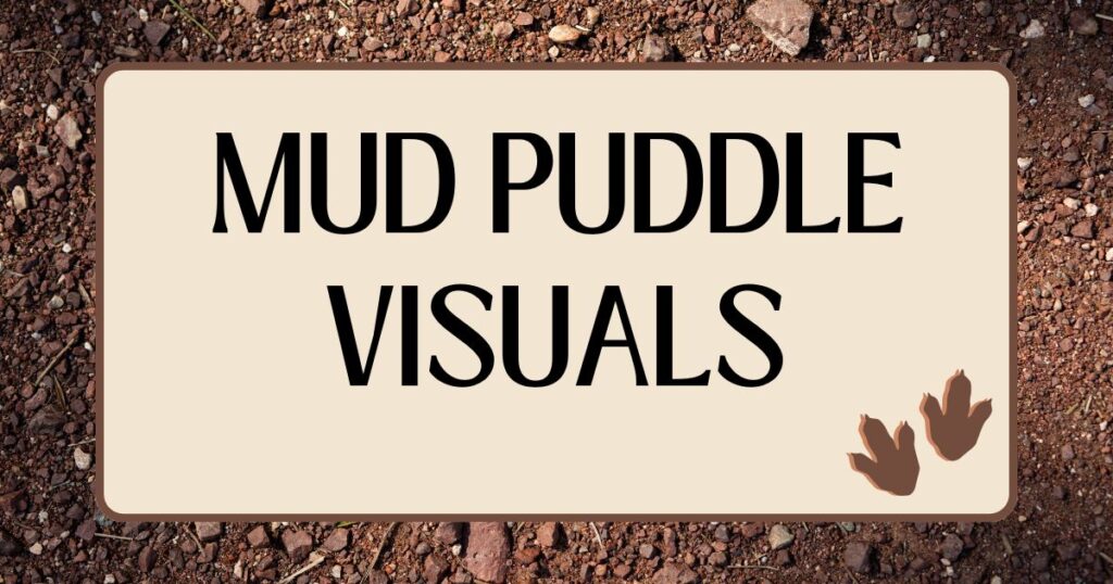 Mud Puddle Visuals: A Creative Force in Visual Storytelling - Hackerella